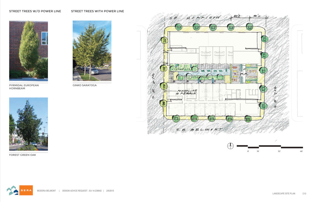 Modera Belmont set to receive Design Advice (images) – Next Portland